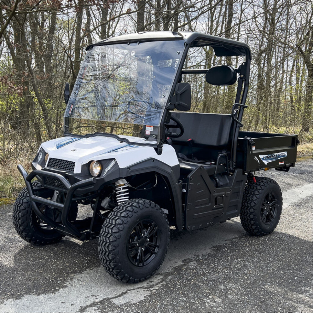 Электромобиль UTV GreenCamel Linhai купить в Москве - Цена, Характеристики | Магазин EcoMoto